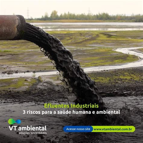 1 Riscos Para A Saúde Humana Os Produtos Químicos Presentes Nos