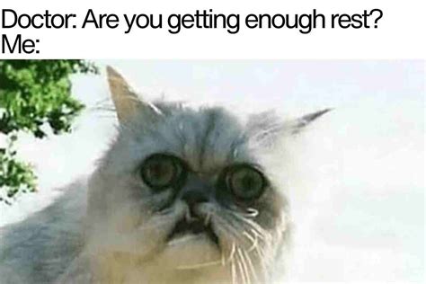 30 hilarious tired memes for the sleep deprived