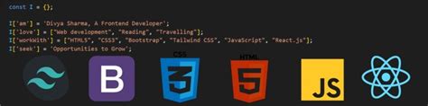 irfan mansoori react developer vidhyagxp linkedin