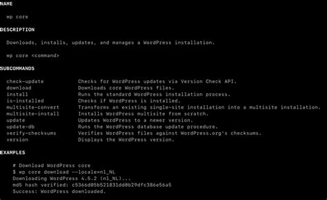 Qué Es Wp Cli De Wordpress Y Comandos Básicos Wnpower Blog