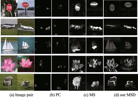 some examples of co saliency detection on co saliency paris dataset
