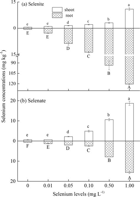 Total Selenium Concentrations In Roots And Shoots Of Tomato Seedlings Download Scientific