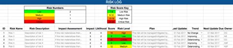 RAID Log Risks Expert Program Management