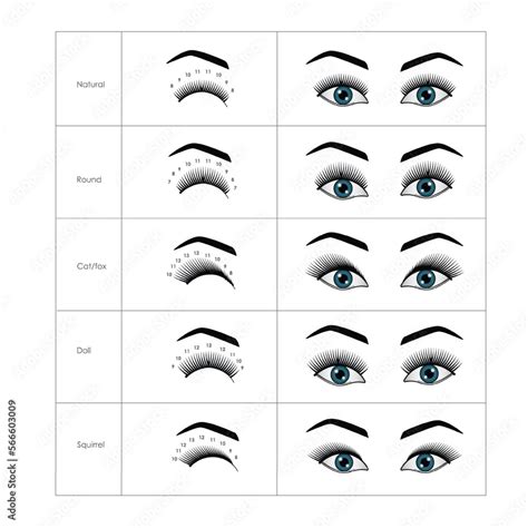 Eyelash Extension Guide Direction Schemes Tips And Tricks For Eyelash