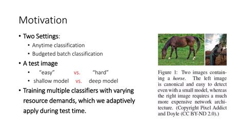 Multi Scale Dense Networks Pptx