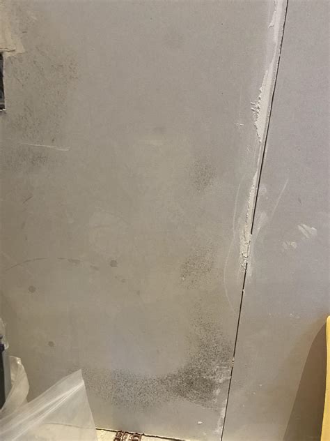 Mould On New Plaster Boards Plastering And Rendering Uk