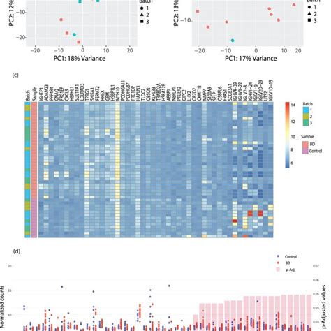 Differentially Expressed Genes Between Bd And Control Lcls Are Enriched Download Scientific
