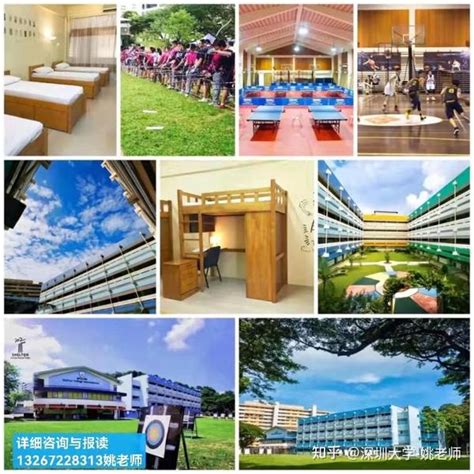 新加坡莎顿国际学院介绍 知乎