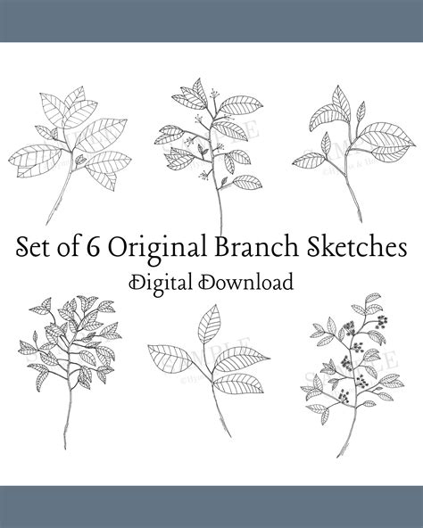 Branch Sketches Set Of Original Artwork Neutral Gallery Wall Art Leaf Drawings