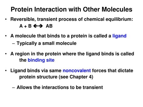 Ppt Protein Function Binding Powerpoint Presentation Free Download