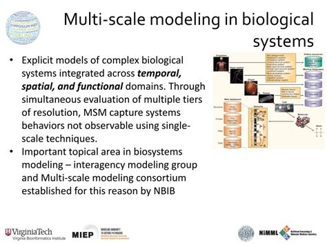 Ppt Multi Scale Modeling In Systems Biology Powerpoint Presentation