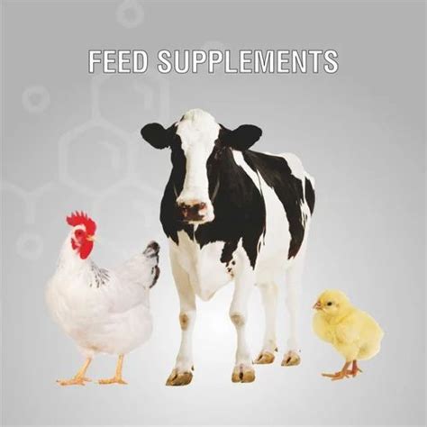 Liquid Feed Supplement Poultry And Cattle Feed Supplements At Best Price In Mumbai