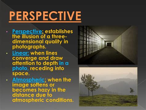Elements & Principles of Photography Composition - ppt download