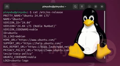 How To Check Your Linux OS Version Pi My Life Up