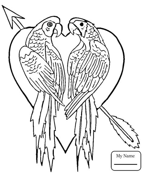 Flying Parrot Coloring Pages At Getcolorings Com Free Printable Colorings Pages To Print And Color