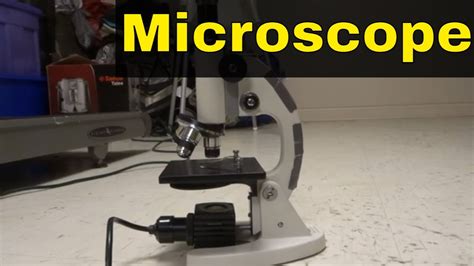 How To Use A Microscope Full Beginner Tutorial YouTube