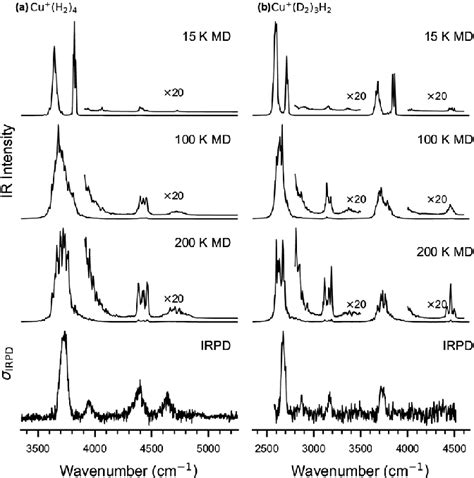 Comparison Of Experimental And Calculated Vibrational Spectra Of A Cu Download Scientific