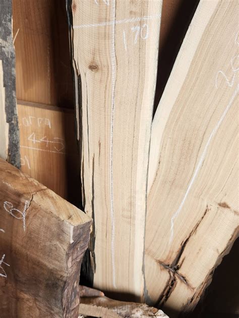 Mm Thicknessed Cypress Pine Timber Slab Woodpatch House And Garden