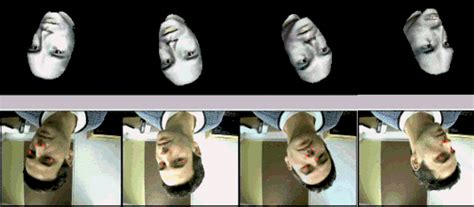 examples of real time animation of the face model using ekf tracking