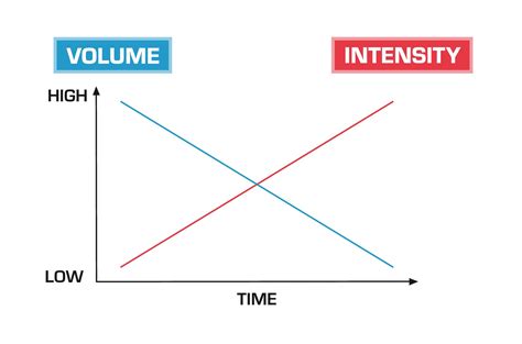 The Importance Of Programming And Periodization Strength And