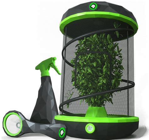 Insectimo Insect Pod Pet Shop Findit Marketplace