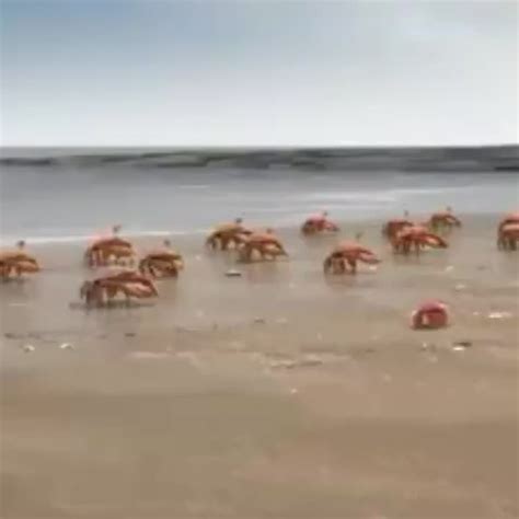 Onipede Michael Posted On Linkedin