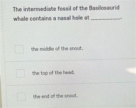 Solved The Intermediate Fossil Of The Basilosaurid Whale Contains A