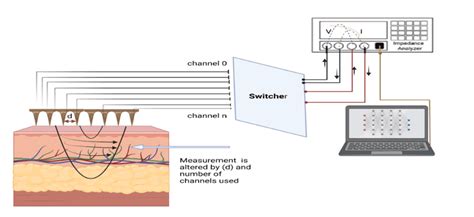 Revolutionizing Recovery The Frontier Of Free Flap Monitoring In Reconstructive Surgery