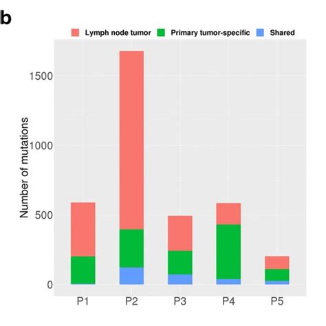 Statistical Analyses Of Somatic Mutations In 5 Gac Patients A Somatic