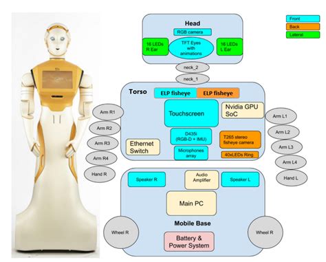 Spring Ari Robot Specifications Spring Socially Pertinent Robots In Gerontological Healthcare