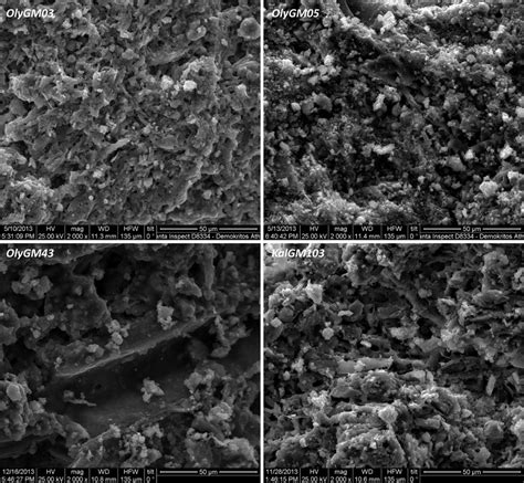 Scanning Electron Micrographs Secondary Electron Mode Of Fragments Of