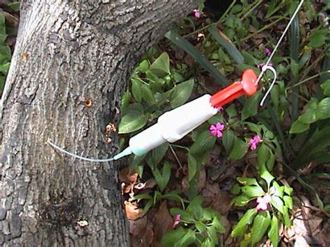 Tree Injector