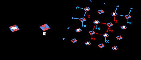 A The Locally Modified Tensor By A Hadamard B A Sample Xzzx Code Download Scientific