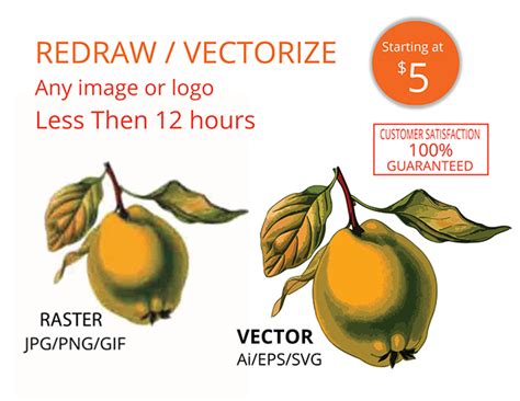 Vector Tracing On Behance Vector Tracing On Behance