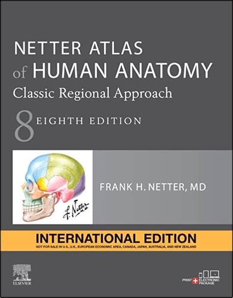 Netter Atlas Of Human Anatomy 8th Edition Mermer Online Medical Books
