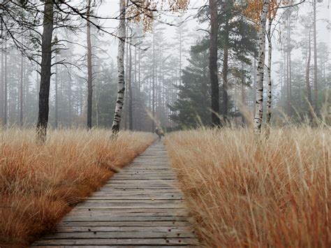 Autumn Render On Behance