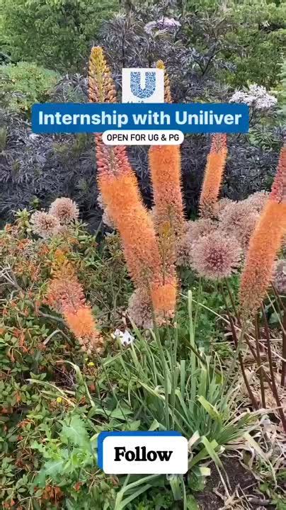 Yashwanth Reddy M On Linkedin Internship Internships Hindustan