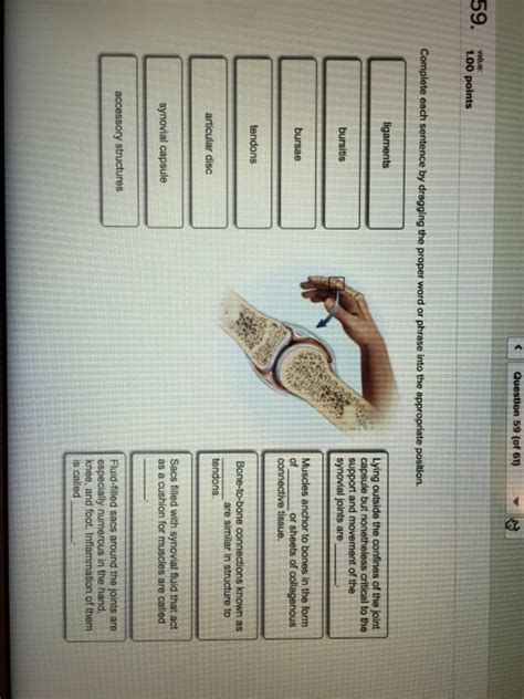 Solved Complete Each Sentence By Dragging The Proper Word Or