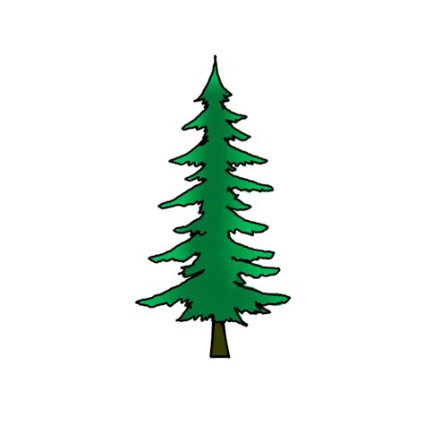 How To Draw A Pine Tree Step By Step Easy Drawing Guides Drawing Howtos