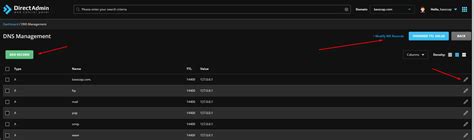 how to add dns records in directadmin hosting basezap