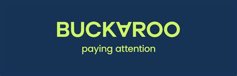 [wordpress] 外掛分享： Buckaroo Woocommerce Payments Plugin 一介資男