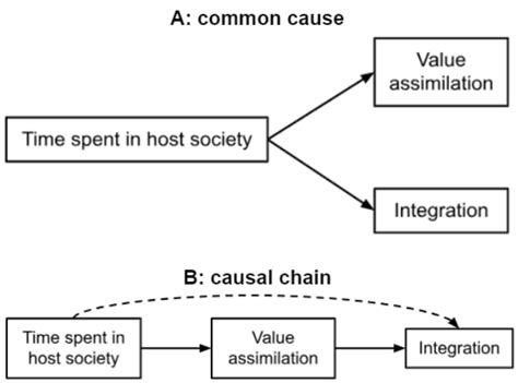 Plausible Causal Diagrams Of Integration And Value Assimilation