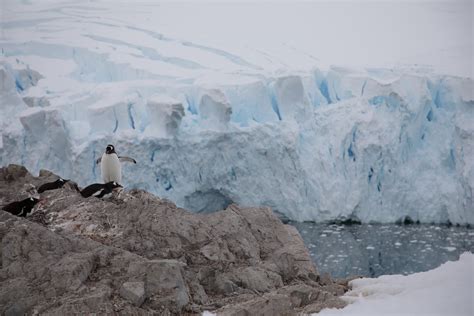 245 Best R Antarctica Images On Pholder When You Re Feeding People On A Remote Research