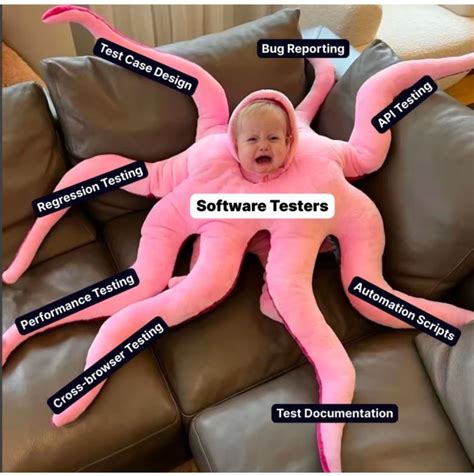 This Is Me As A Software Tester😀😂 Hina Ahmer Khan