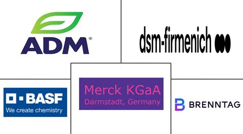 천연 비타민 E 시장 규모 점유율 및 산업 분석