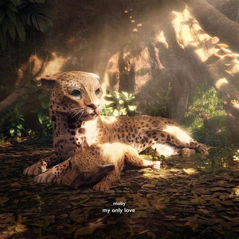 Moby My Only Love Lyrics Genius Lyrics