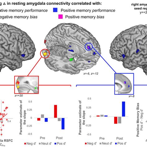 Post Encoding Enhancement Of Right Amygdala Connectivity And
