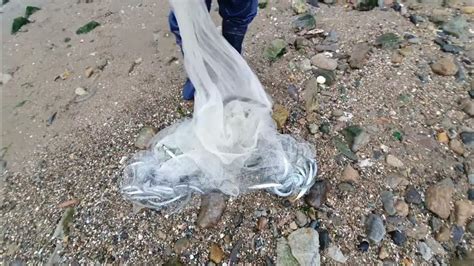 수많은 학꽁치들 사이에 너는 누구냐 Cast Net 투망 Youtube