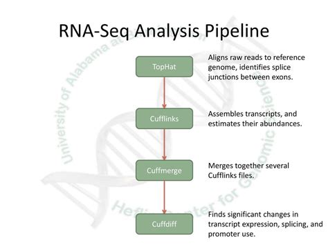 ws9 rna seq analysis with galaxy non model organism ppt download