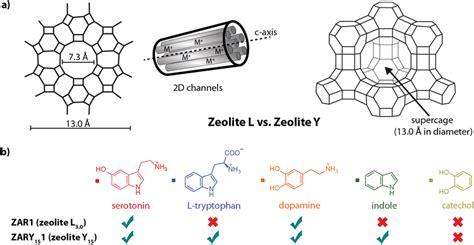 Generalizability And Scope Of Zars A Schematic Representation Of The Download Scientific